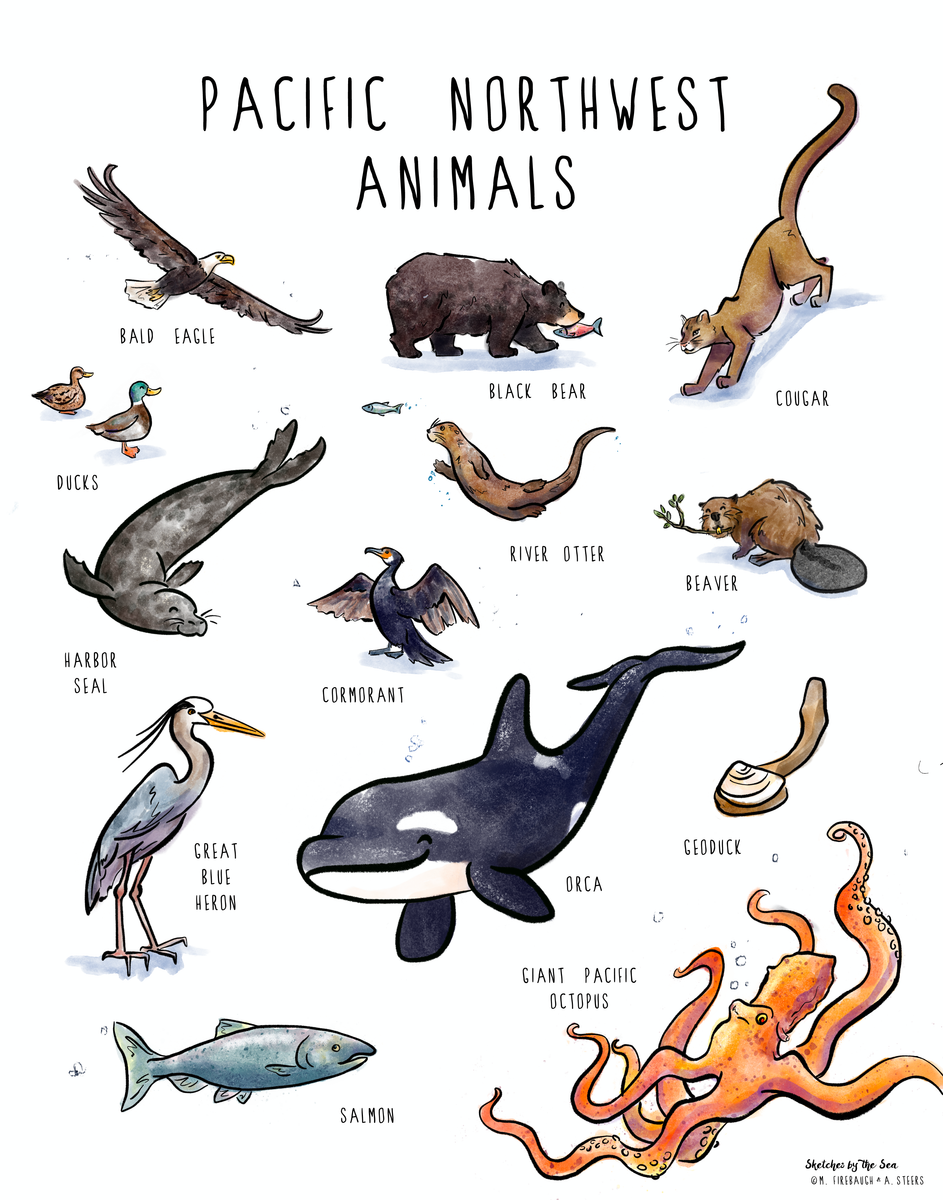 Pacific Northwest Animals Poster, Whimsical Wall Art – Sketches By The Sea